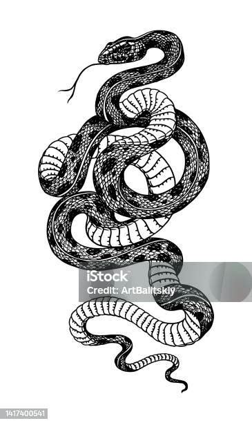 피트 바이퍼 크로탈린 뱀 또는 구덩이 가산기 독이있는 렙틸리아 그림 오래된 스케치에 그려진 새겨진 손 스티커와 문신을위한 빈티지 스타일 뱀에 대한 스톡 벡터 아트 및 기타