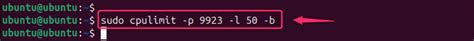 How To Limit Cpu Usage Of A Process In Linux With Cpulimit With Examples