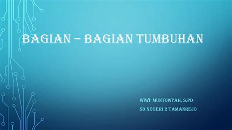 Bagian Bagian Tumbuhan Wiwi Muntowiah Page 1 8 Flip Pdf Online Pubhtml5