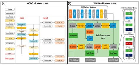 Programming And Setting Up The Object Detection Algorithm Yolo To Determine Feeding Activities