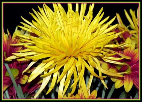 Pyf A Photo On Flickriver