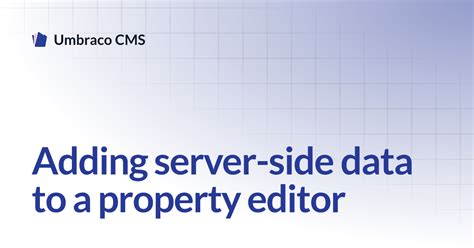 Adding Server Side Data To A Property Editor Umbraco CMS