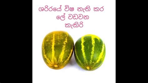 කැකිරි කැකිරි ආහාරයට ගැනිමෙන් ඇති වාසි Youtube