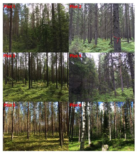 Remote Sensing Free Full Text Mobile Laser Scanning For Estimating
