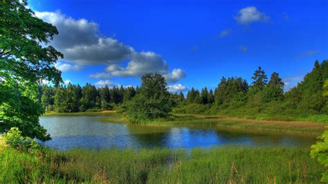 4k Ultra Hd Nature Wallpapers Top Free 4k Ultra Hd Nature Backgrounds