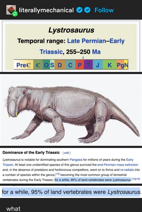 Lystrosaurus Size