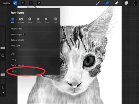 How To Copy And Paste In Procreate The Easy Way Adventures With Art