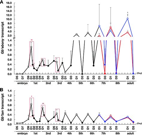 Expression Profiles Of Gbebony And Gbtan Transcripts From The Embryo