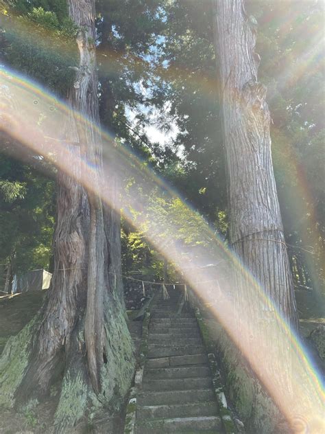 20220925 菅原神社 絶滅危惧種 新潟カヤッカー