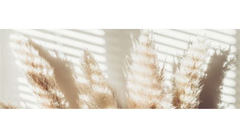 Passad Dream Passad Dream Added A New Photo