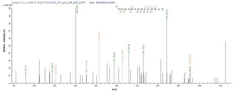 Recombinant Mouse Induced Myeloid Leukemia Cell Differentiation Protein Mcl 1 Homolog Mcl1
