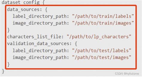 nvidia tao环境配置及预训练模型使用样例 车牌号识别（docker容器方法） nvidia tao csdn博客