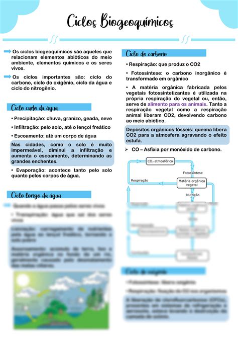 Solution Ciclos Biogeoqu Micos Studypool