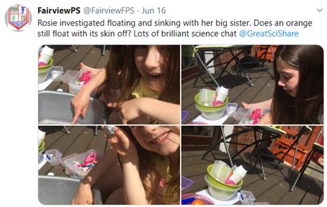 Floating And Sinking The Great Science Share For Babes