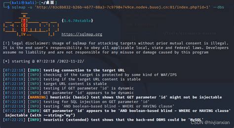 Buuctf N1book 第一章 Web入门 Sql注入 1n1book 第一章web入门 Ctf中的sql注入 Sql注入 1 Csdn博客