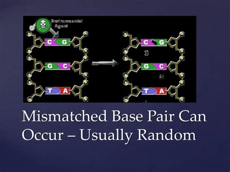 Ppt Proteins And Base Mutations Powerpoint Presentation Free