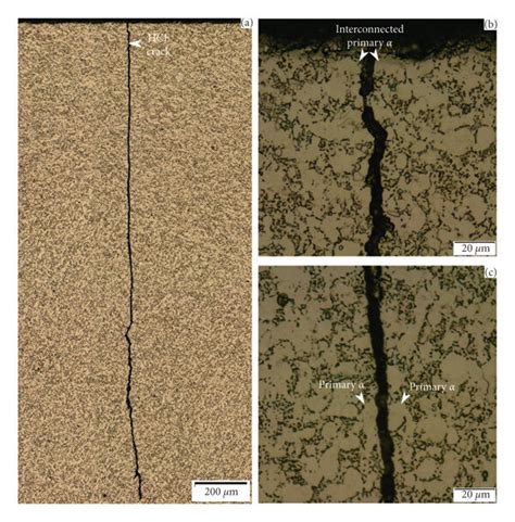 Microphotographs Showing The Fatigue Crack Path In The Pm That Download Scientific Diagram
