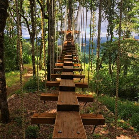 Add Tree To Tree Adventure Park In Oregon To Your Bucket List