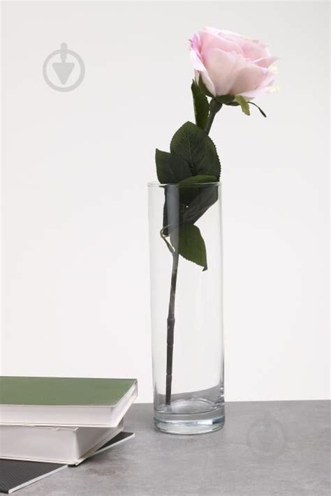 ᐉ Ваза скляна Pasabahce Ботаніка 26 5 см прозора • Краща ціна в Києві Україні • Купити в Епіцентр