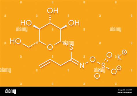 Sinigrin Glucosinolate Molecule Present In Some Cruciferous Vegetables Brussels Sprouts