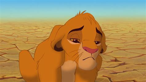 Simba X Reader One Shots At Bill Hass Blog