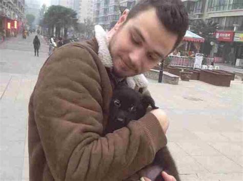 國內爹不疼娘不愛的中華田園犬在國外卻被當寶貝寵上天一 每日頭條