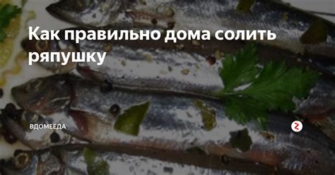 Как правильно дома солить ряпушку Вдомееда Дзен