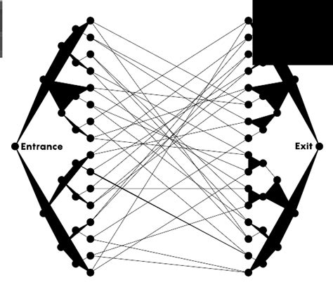 To Move Fast Quantum Maze Solvers Must Forget The Past Quanta Magazine