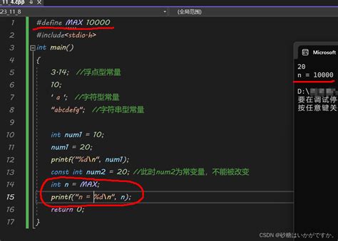 常量的类型 csdn博客