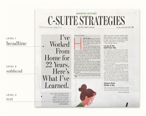 Design Basics How To Use The Typographic Hierarchy On Your Website Natsumi Nishizumi Design