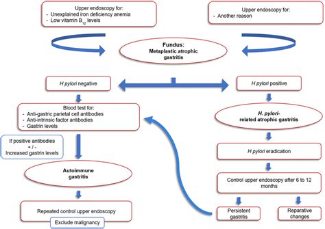 Algorithm Suggested For The Diagnosis And Follow Up Of Pediatric