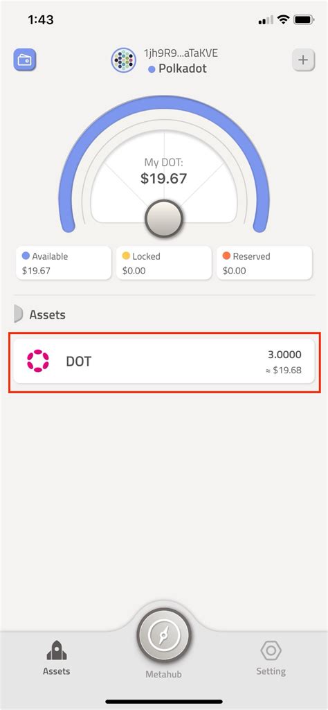 Polkadot Support