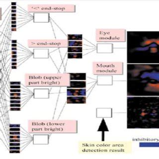 CNN For Face Detection Download Scientific Diagram