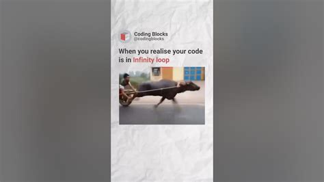 Who All Are Coders Here Coders Life Coding Blocks Code Codingblocks Youtube