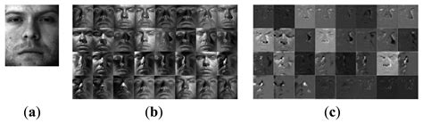 Single Sample Face Recognition Based On Intra Class Differences In A