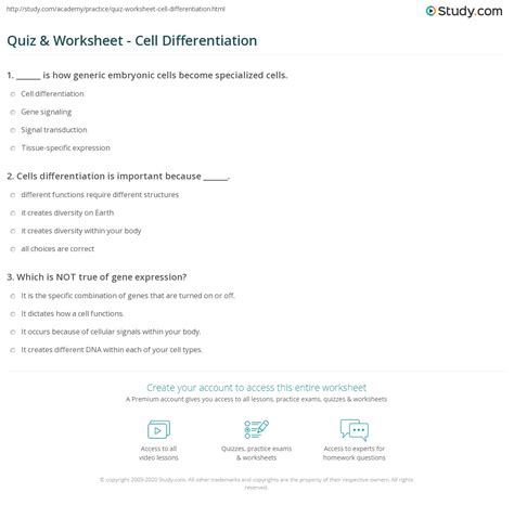 Quiz And Worksheet Cell Differentiation
