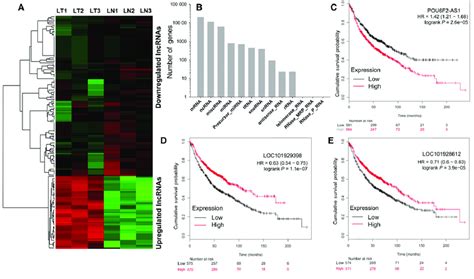Differentially Expressed Lncrna In Luad Heatmap Of Differentially