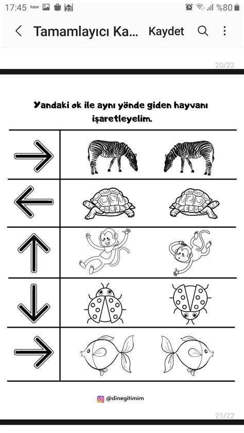 Orientation Spatiale Enseignement Maternelle Mathématiques