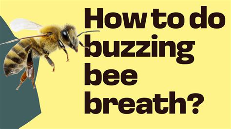 Bee Buzzing Sound Effect
