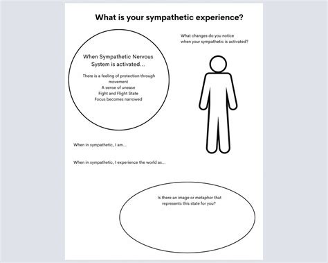 Polyvagal Theory Worksheet Nervous System States Three State