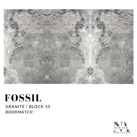 Fossil Slab New Age Granite And Marble