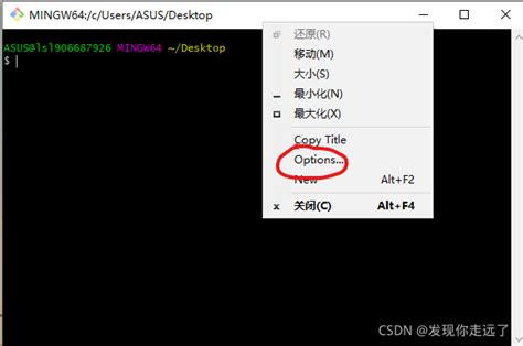 修改git Bash字体样式（保姆级图文）git Bash设置字体 Csdn博客