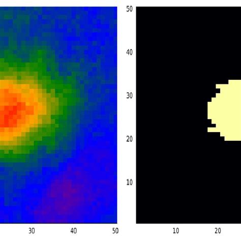 Example 1d Mineralization Sub Figure A Shows A Mineralization That