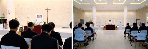 생애와 활동 프란치스코 교황 선종 로마의 교황들