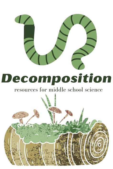 Decomposition Mini Unit Powerpoints Worksheet Lesson Plans For 8 Days Earth Day Activities