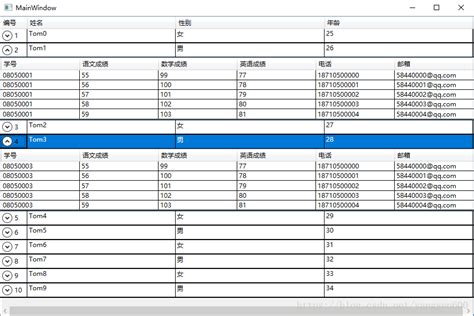 wpf之datagrid主从表实现方法 wpf datagrid 主从表 csdn博客