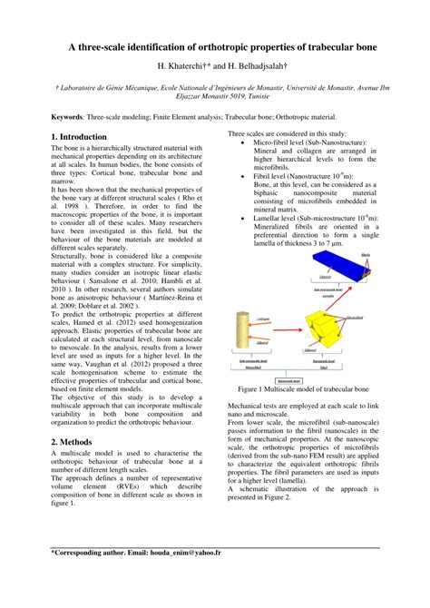 Pdf A Three Scale Identification Of Orthotropic Properties Of Trabecular Bone