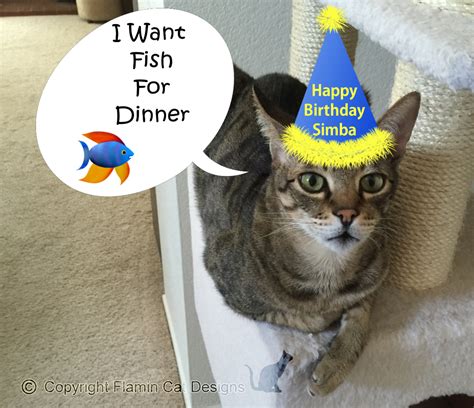 Bengal Cat Domination Happy Birthday Simba