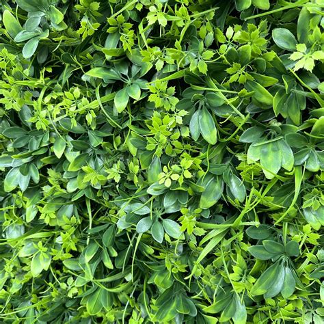 3d Green Grass Artificial Plant Wall Backdrop For Event And Party Décor
