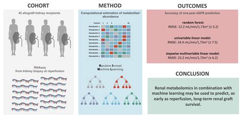 Metabolites Hot Topic Papers Published In 2022 In The “integrative